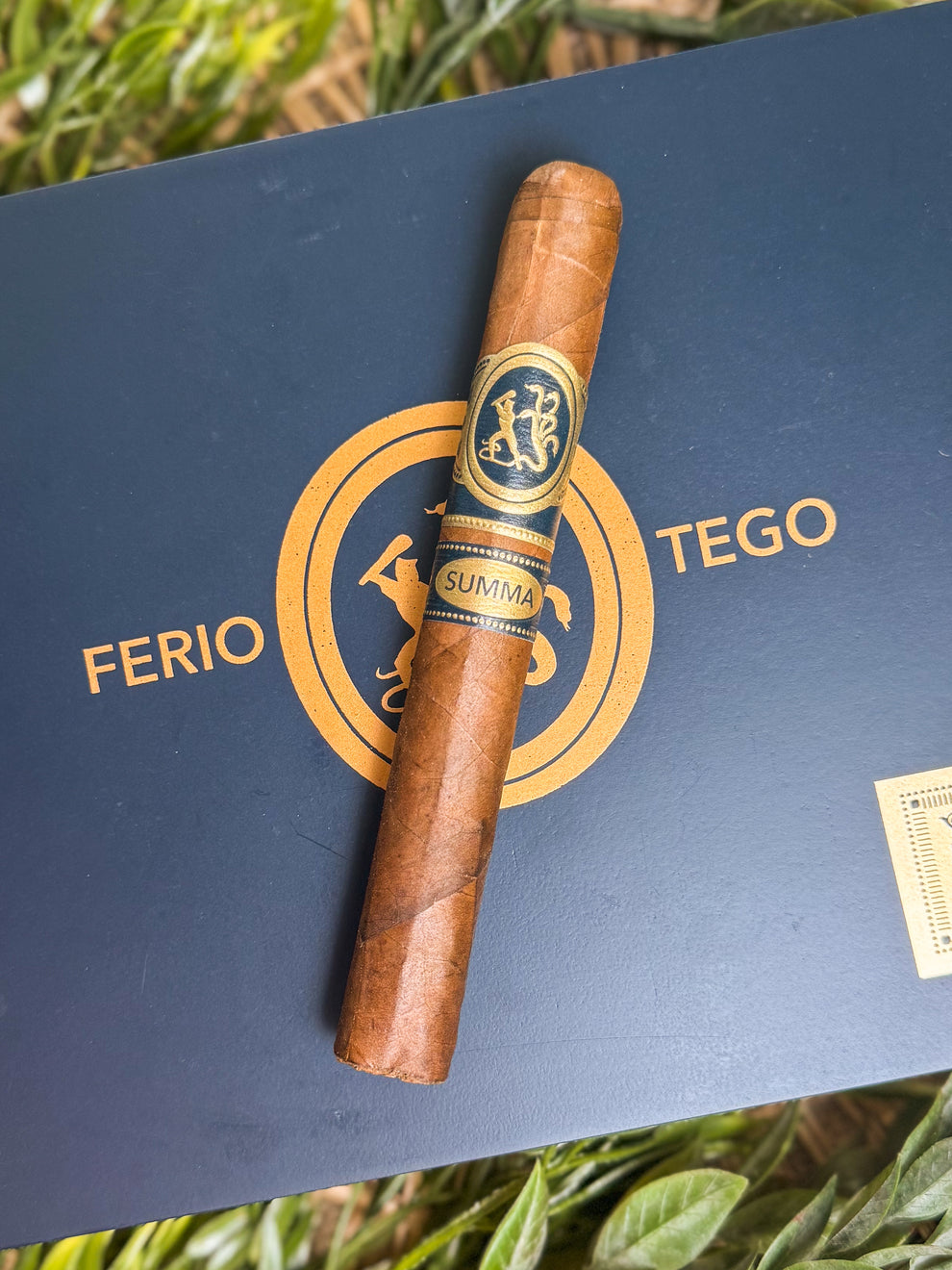 Summa – LA Cigar Collective